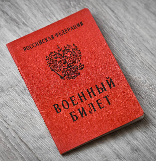 В Ростове-на-Дону военные следователи выявили семерых натурализованных ...