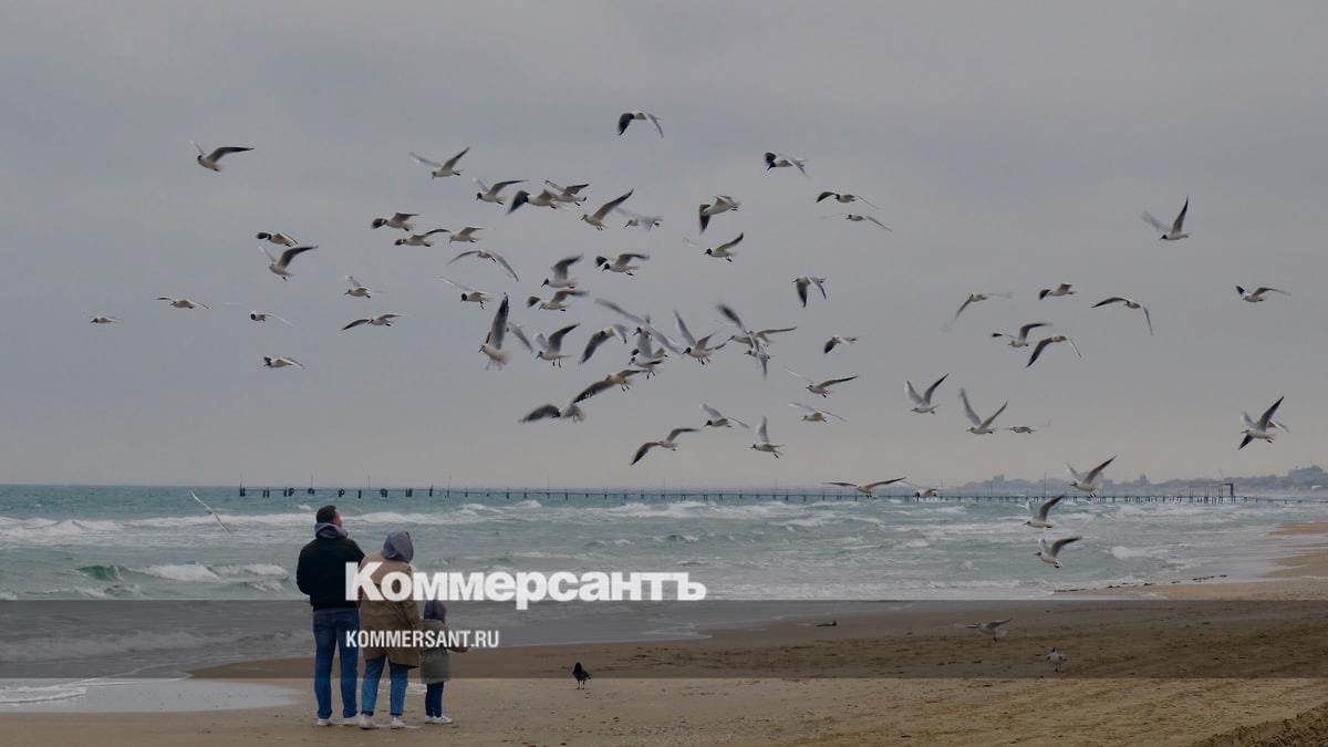 Доля социальных расходов в региональных бюджетах России выросла до 56,8 ...